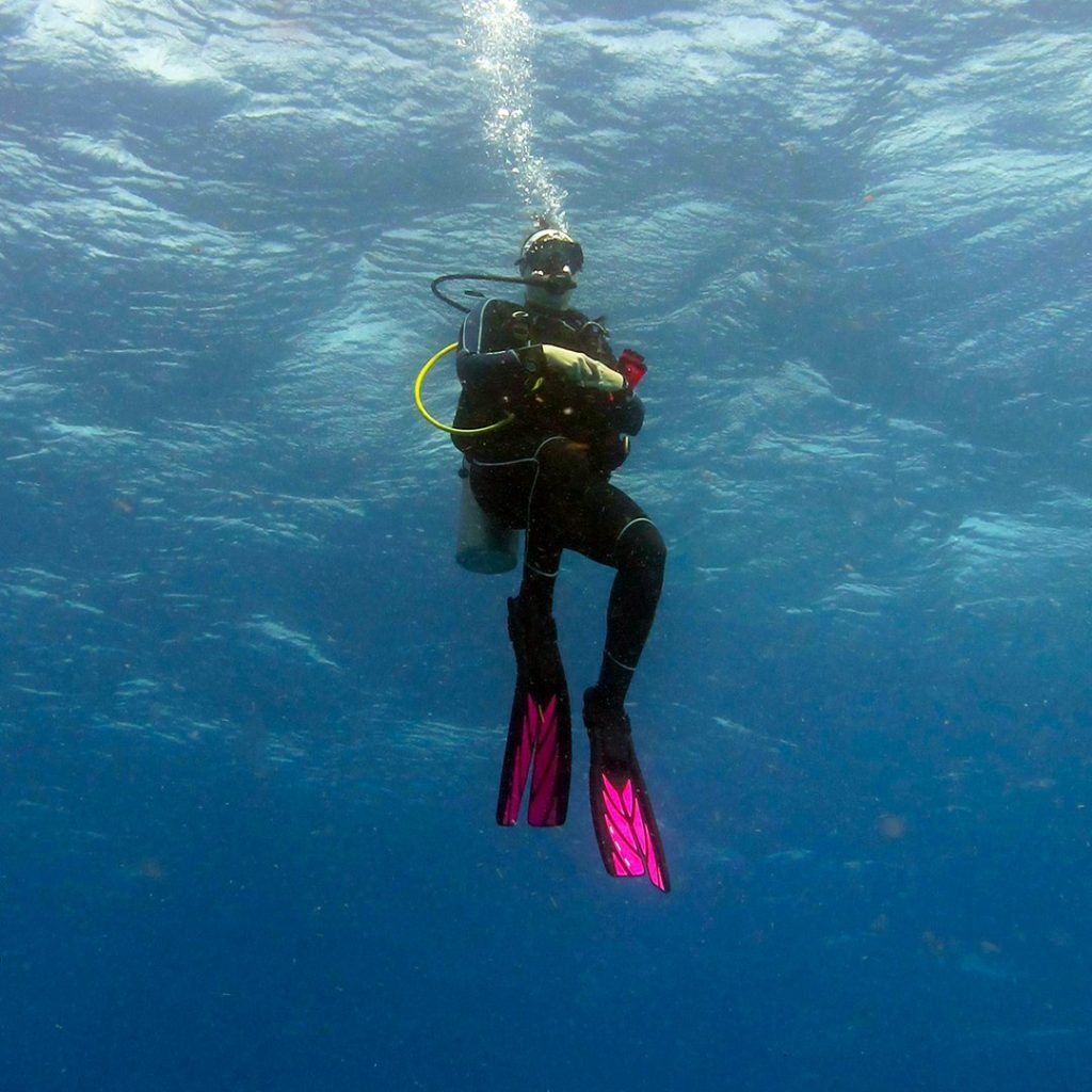 Fins in Action – Nature's Wing®